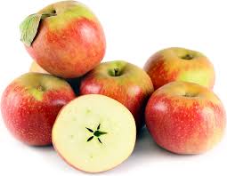Apple_Tydeman_Fruit_17L | Kaipara Coast Plant Centre & Sculpture Gardens