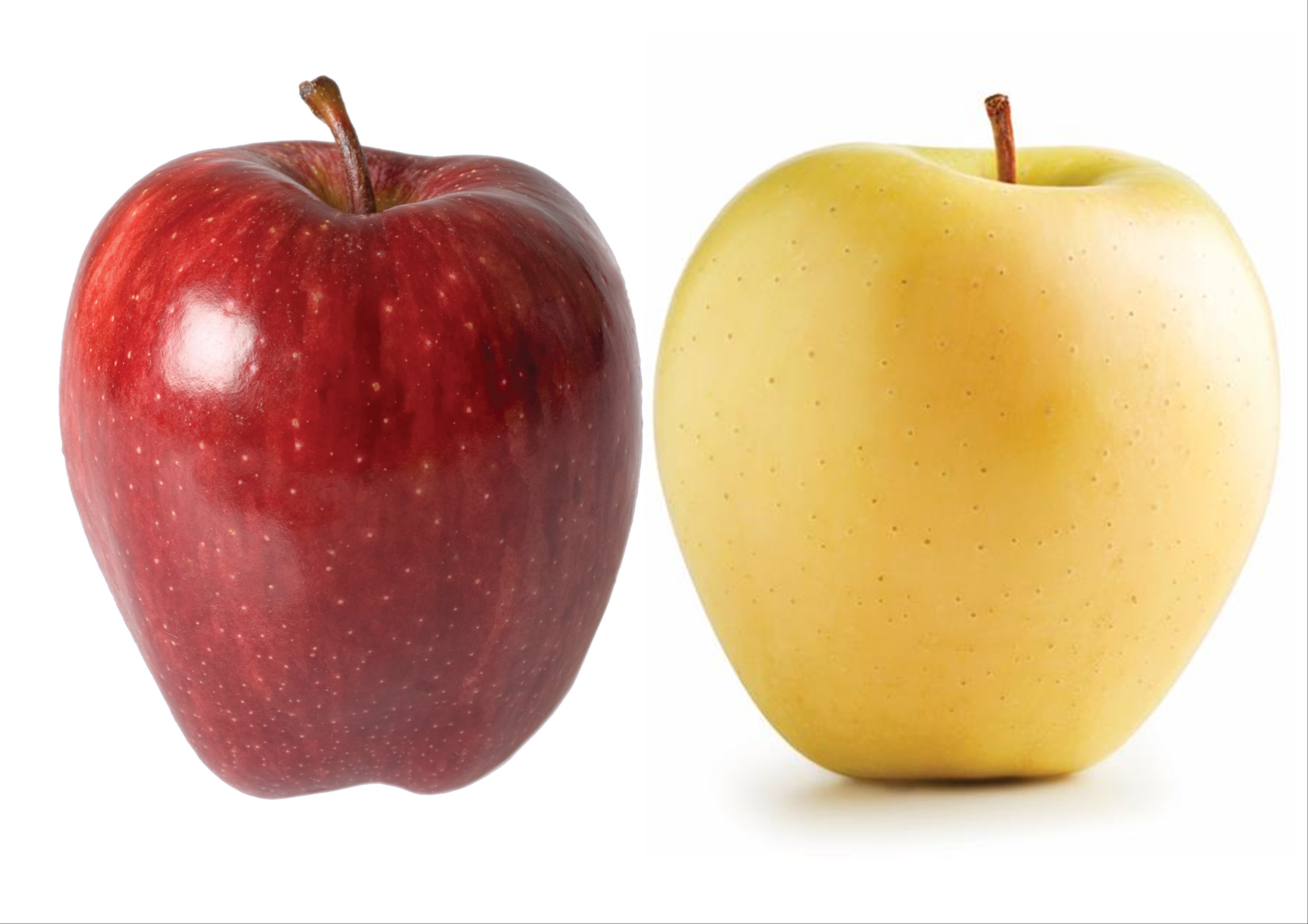 Apple_golden+Red_delicious | Kaipara Coast Plant Centre & Sculpture Gardens