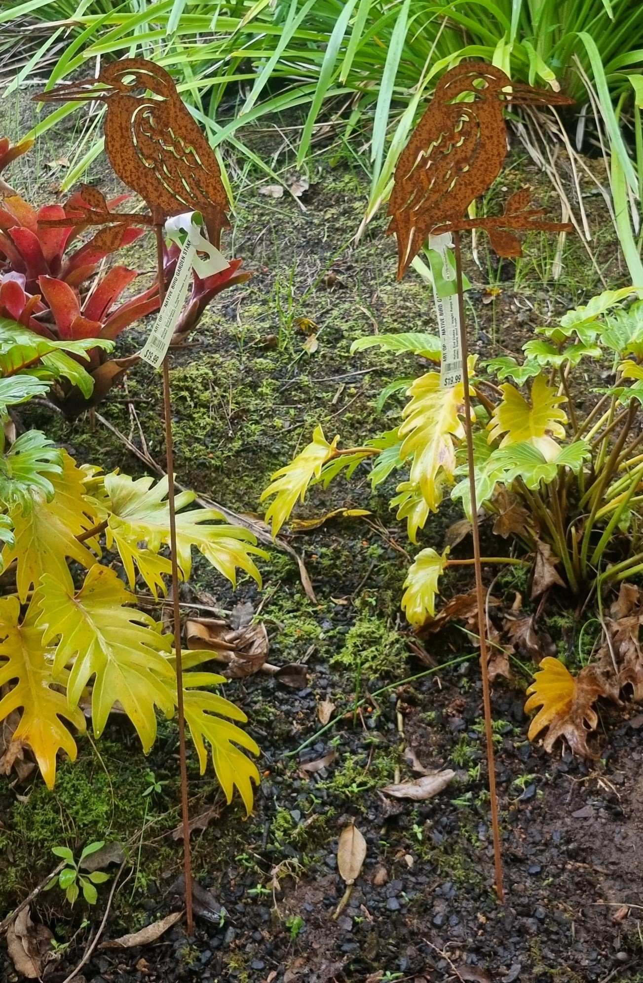 OP_bird_stakes | Kaipara Coast Plant Centre & Sculpture Gardens