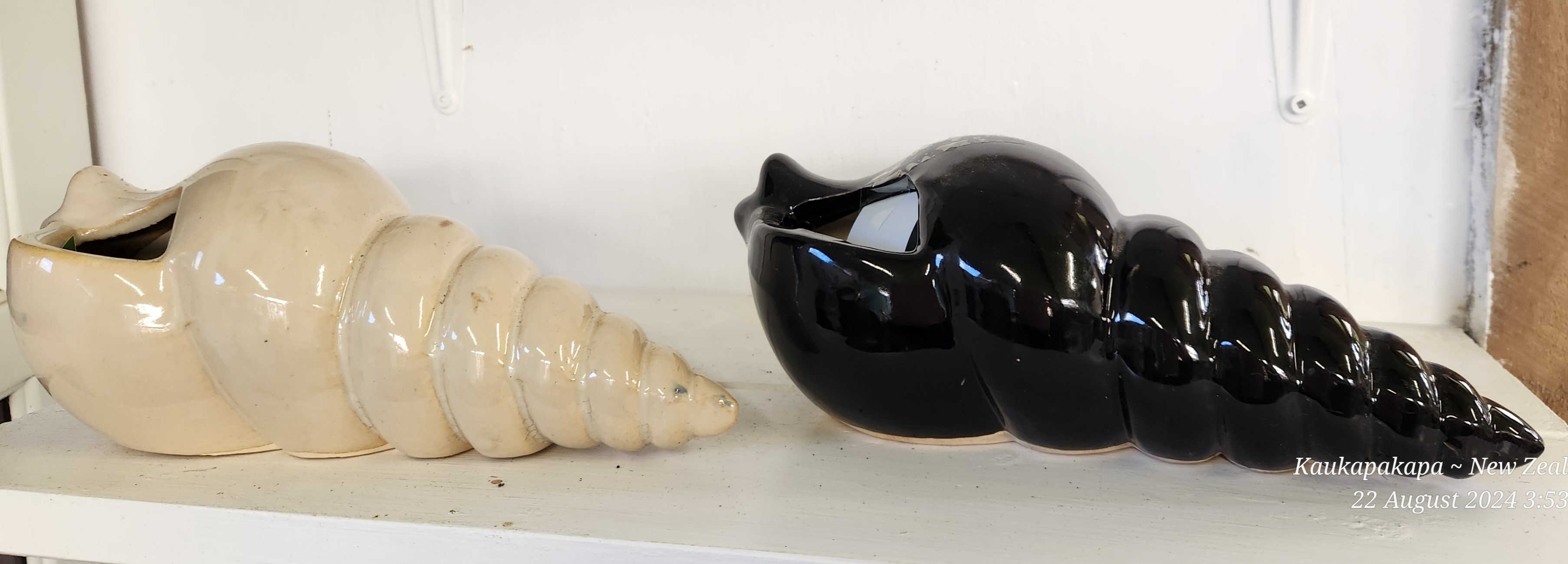 Shell_Ceramic | Kaipara Coast Plant Centre & Sculpture Gardens